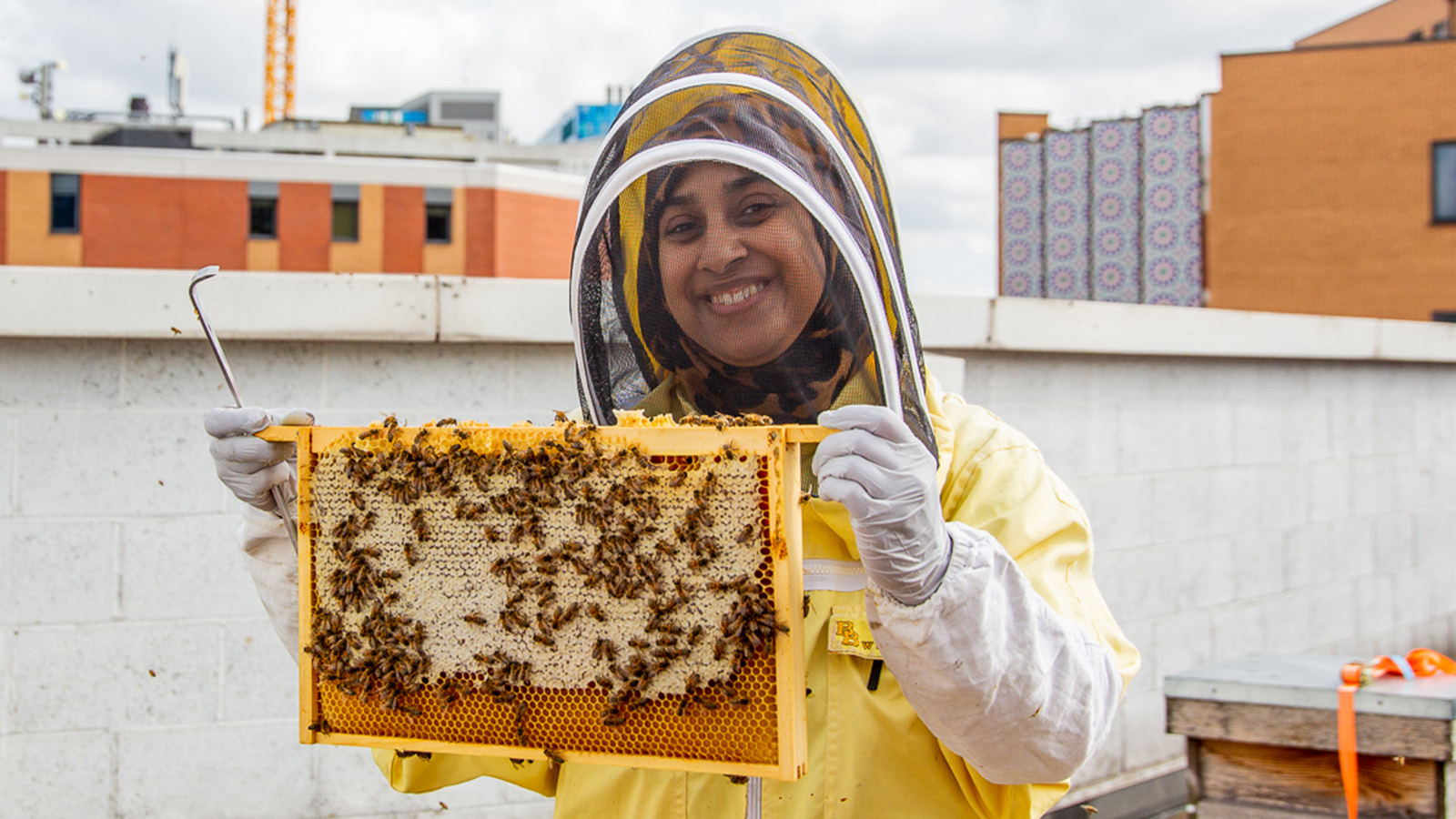 London's rooftop beekeeper - Hyphen