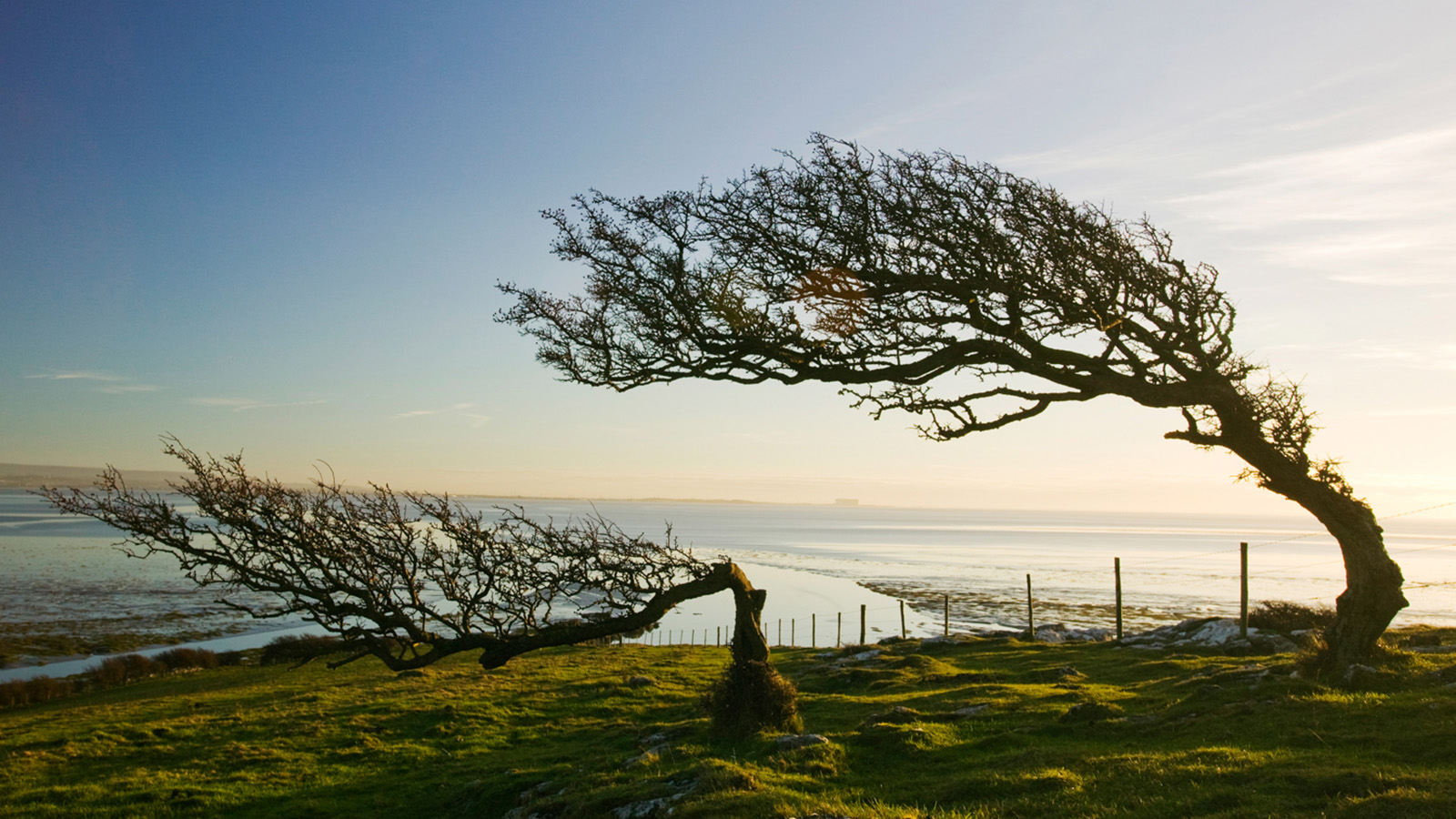 Looking to landscapes for peace after decades of trauma - Hyphen