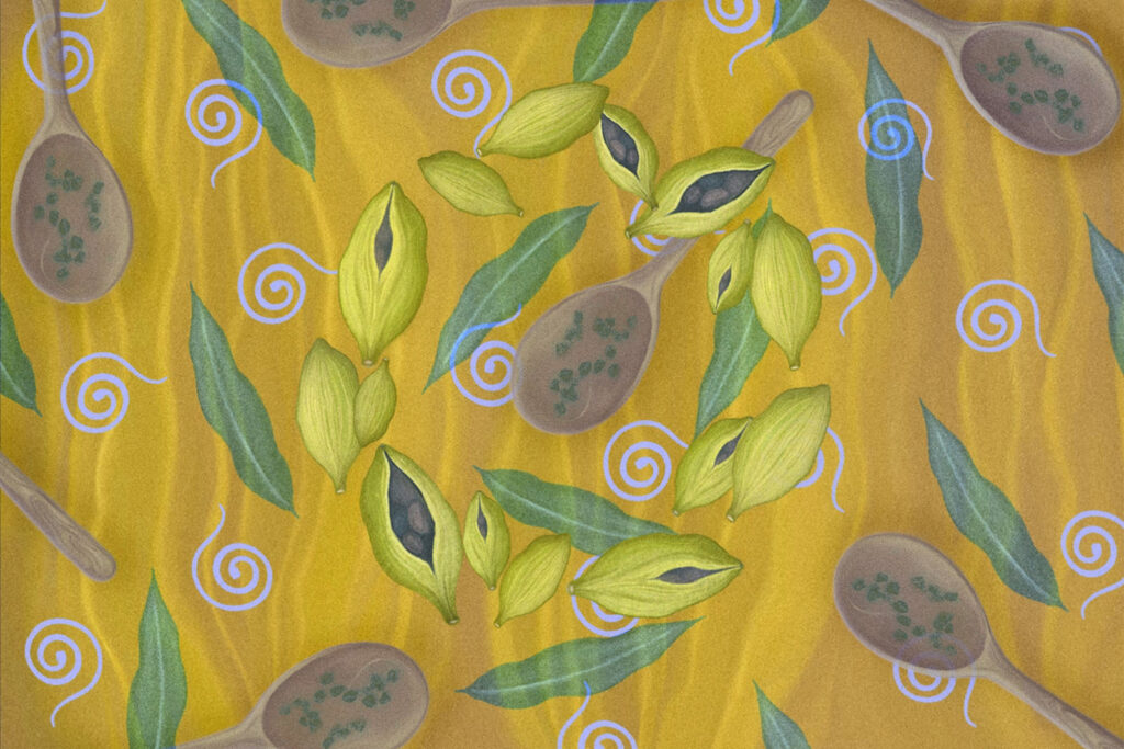 Sabiib brings Somali food to the people - Hyphen