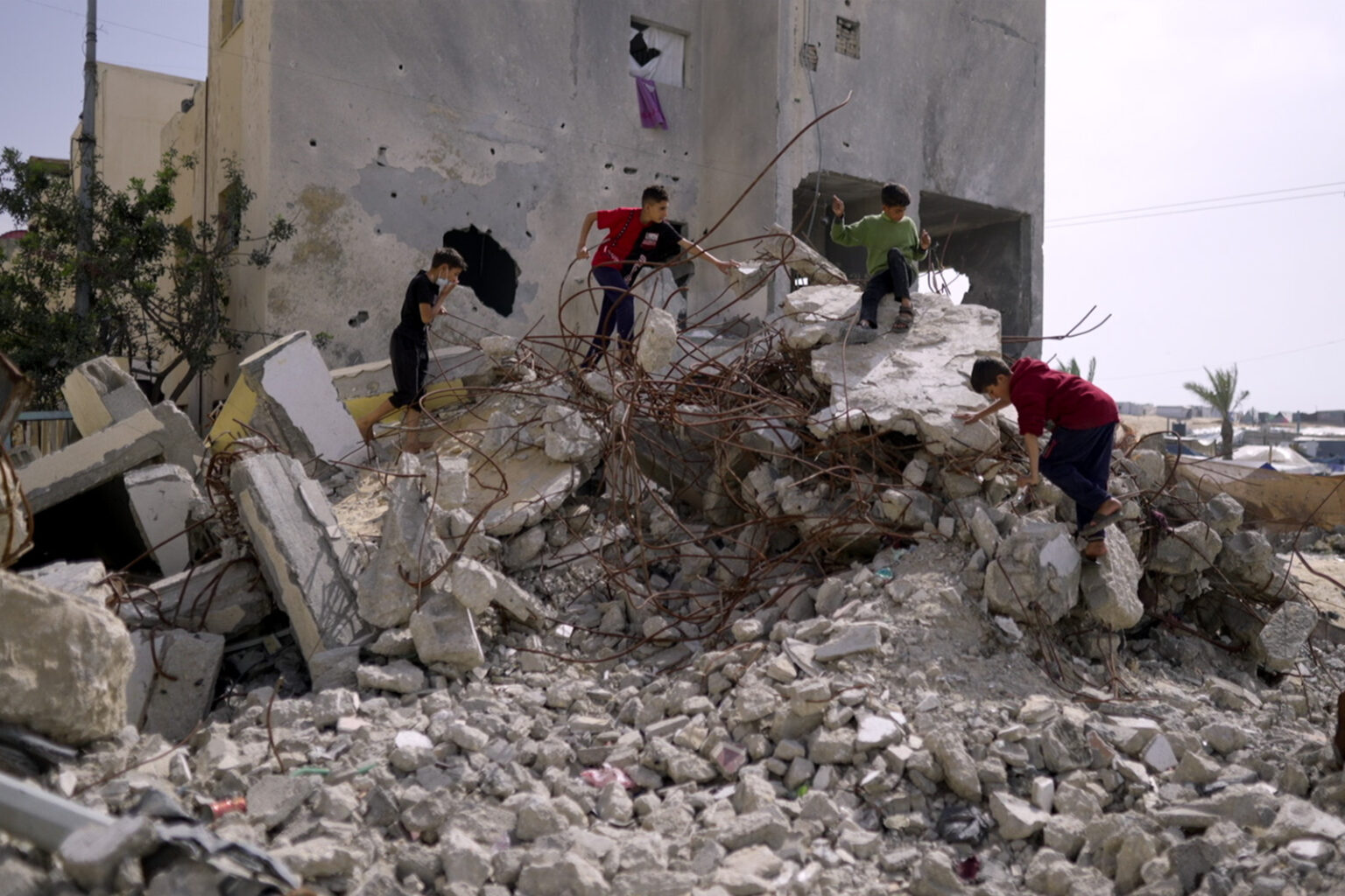 From Ground Zero: Rashid Masharawi on Gaza's untold stories - Hyphen