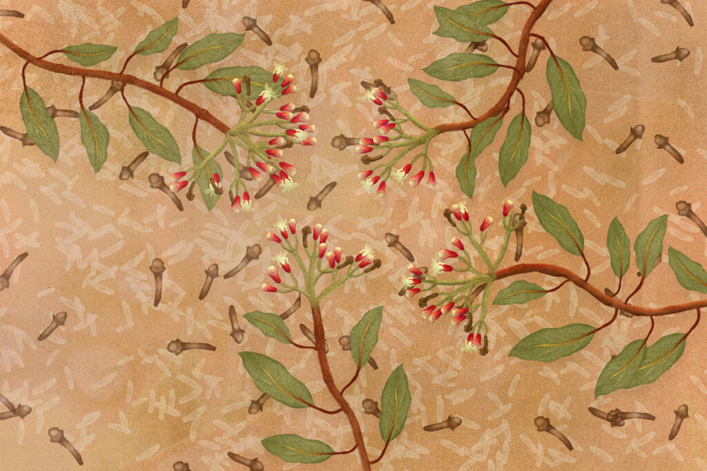 A history of chilli: the people's pepper - Hyphen