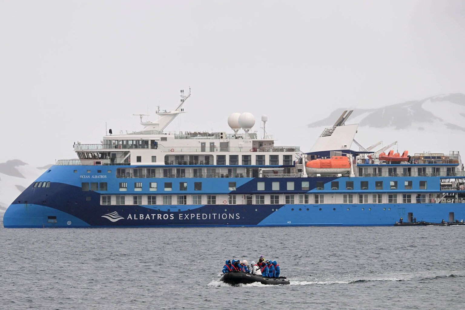 My Antarctic halal expedition: penguins, whales, Jummah prayers - Hyphen